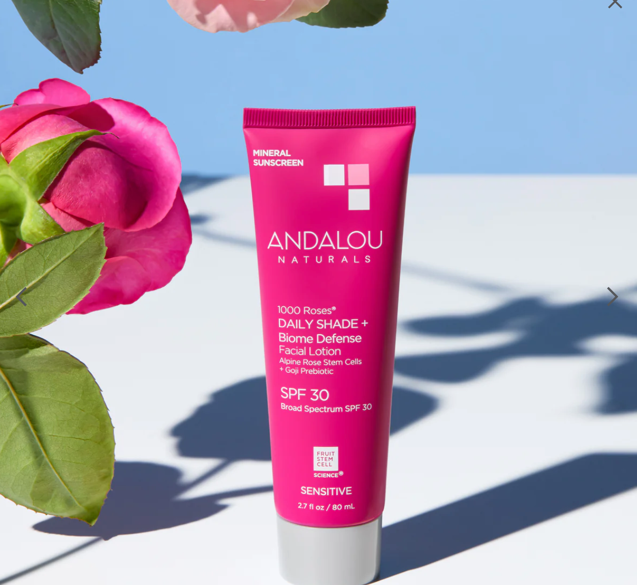 Summer Skincare Collection– Andalou Naturals US
